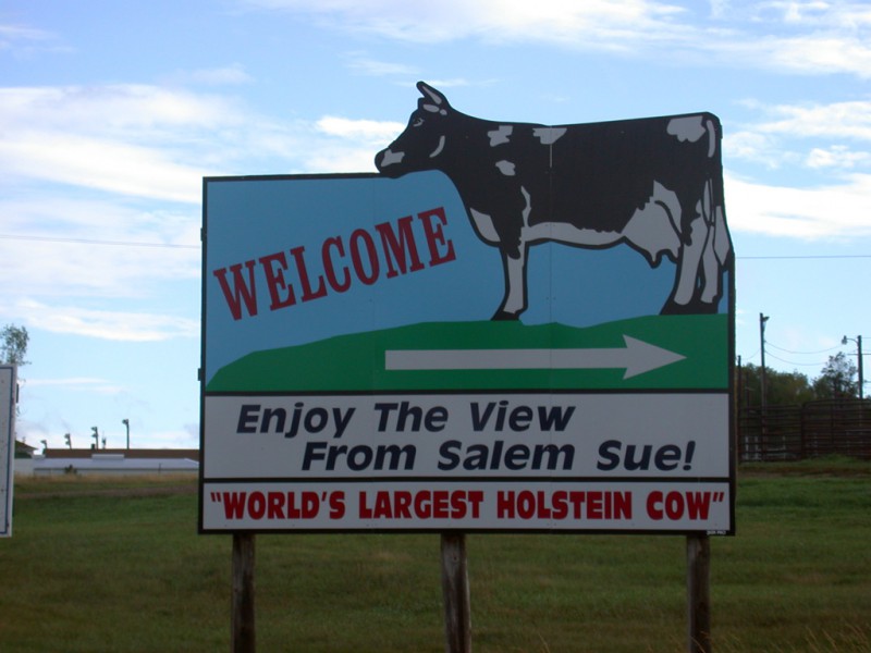 Spotted on the Roadside: Salem Sue, World's Largest Holstein Cow • Mellzah