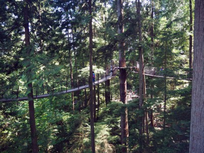 Capilano Suspension Bridge Park • Mellzah