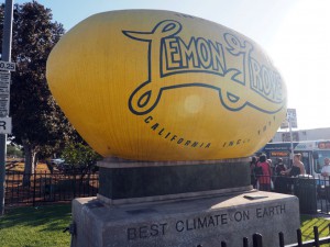 Spotted on the Roadside: When Life Gives You The World's Largest Lemon ...