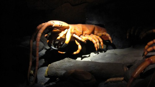 Bugging out at the Audobon Insectarium In New Orleans • Mellzah