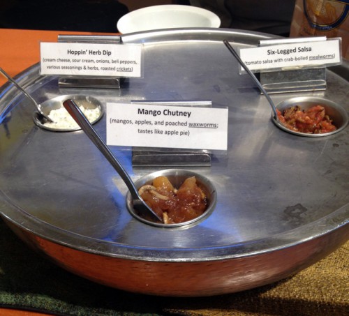 Bugging out at the Audobon Insectarium In New Orleans • Mellzah