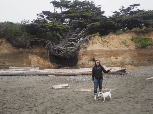 Tree Cave at Kalaloch Beach • Mellzah