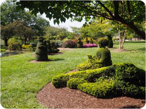 The Topiary Park in Columbus, OH • Mellzah
