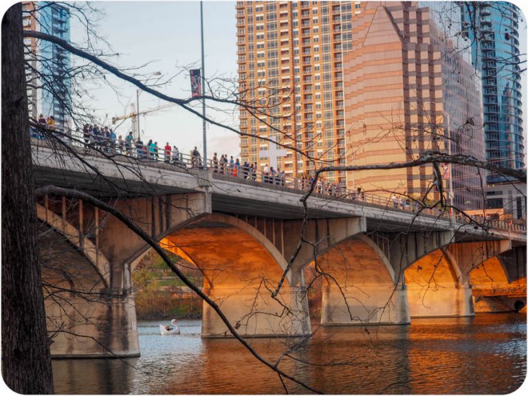 Spotted on the Roadside: Congress Bridge Bat Colony in Austin, TX • Mellzah